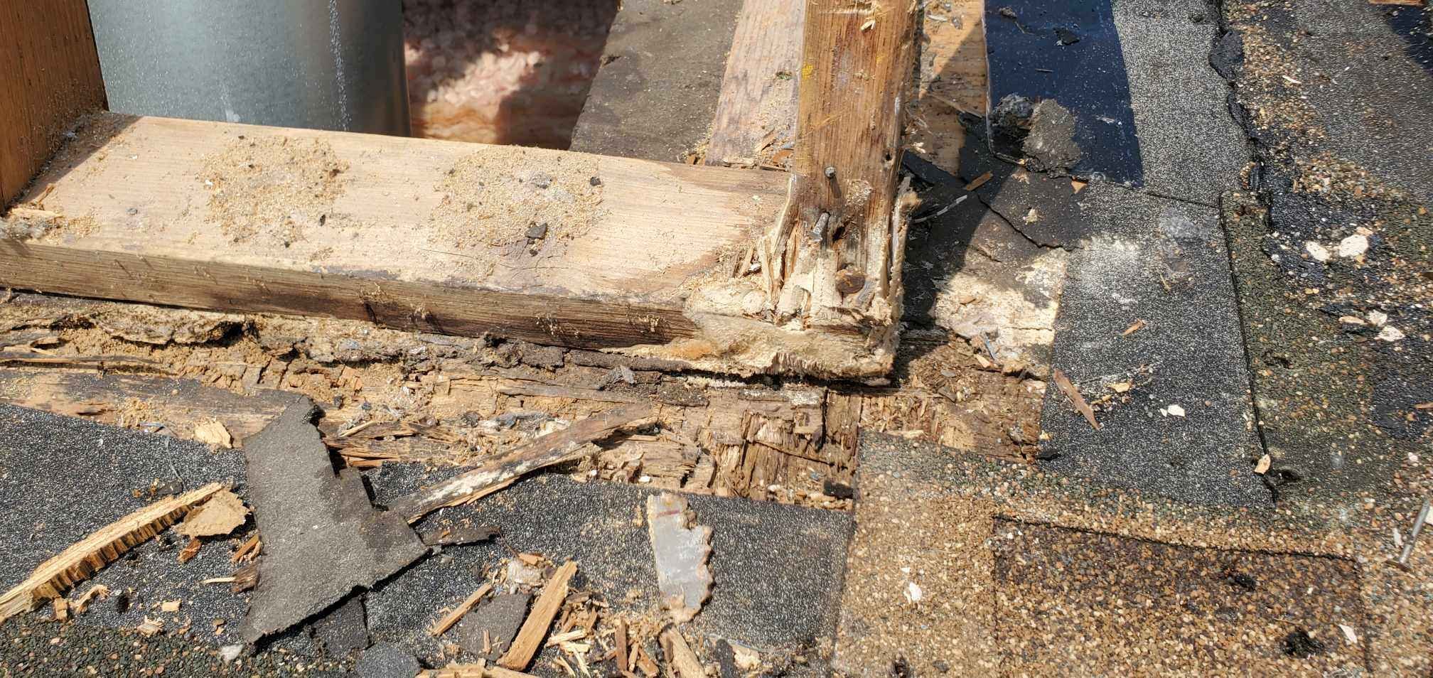 2025 Termite Damage Repair Cost in Pensacola, FL